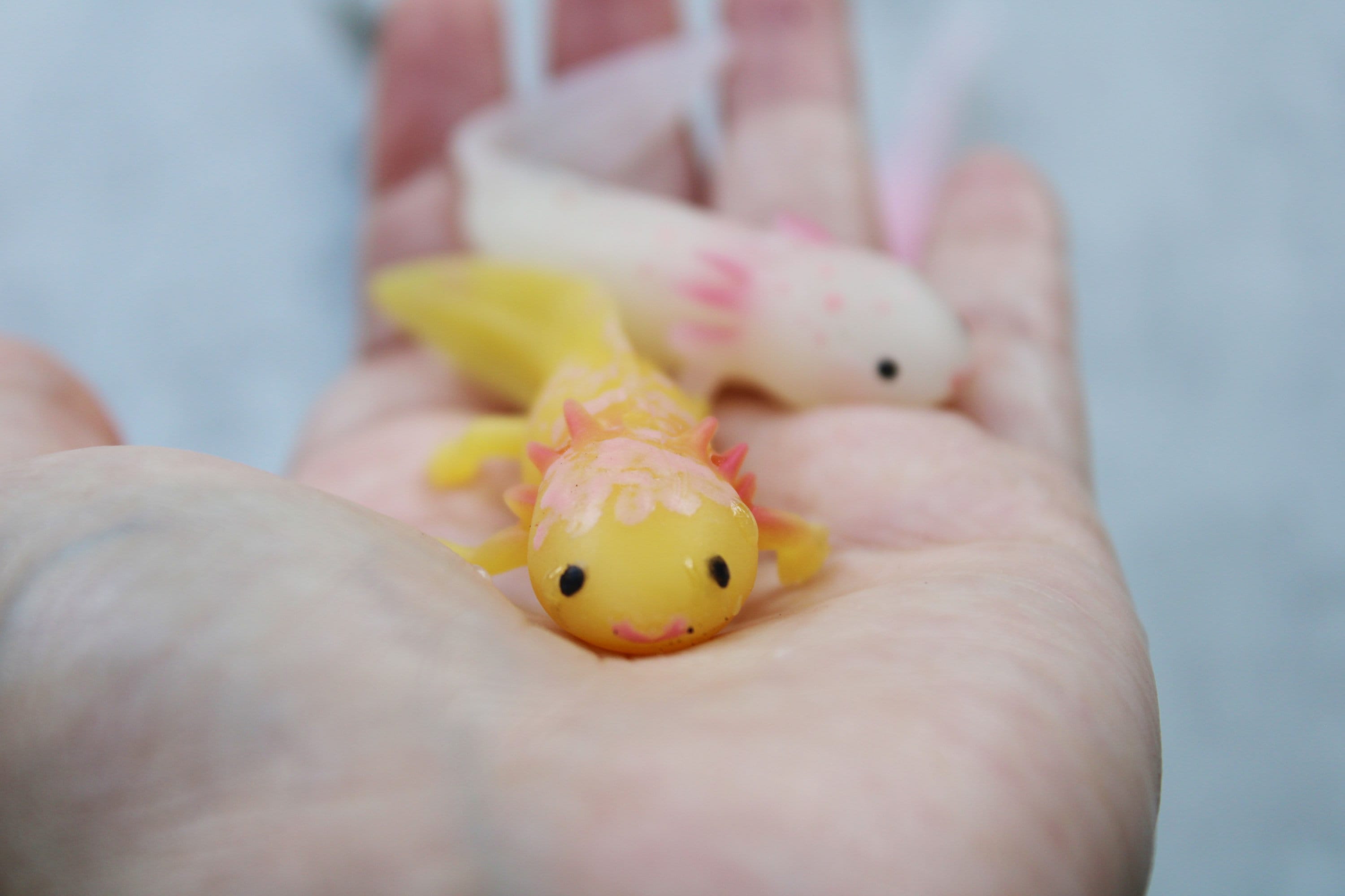 Mini Axolotl Baby Axolotl Squishy Stress Toy Albino - Etsy Australia
