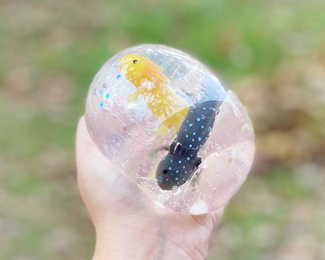 Squishy Ball, Squishy Slime, Squishy Axolotl, Slime Axolotl, Axolotl ...