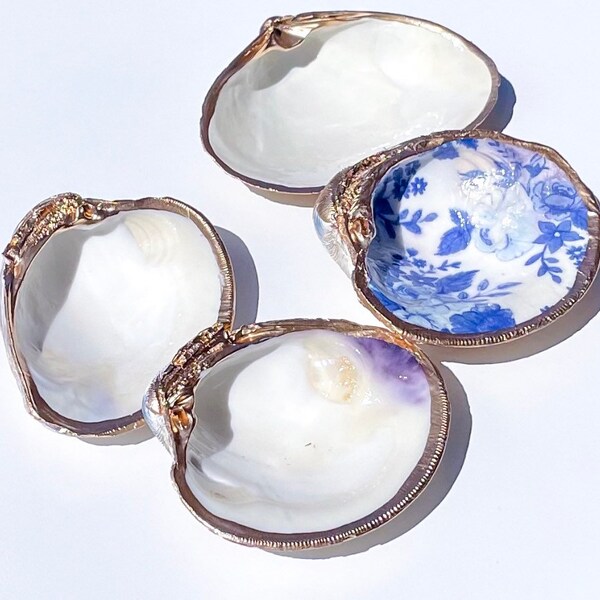 Clam Shell - Etsy