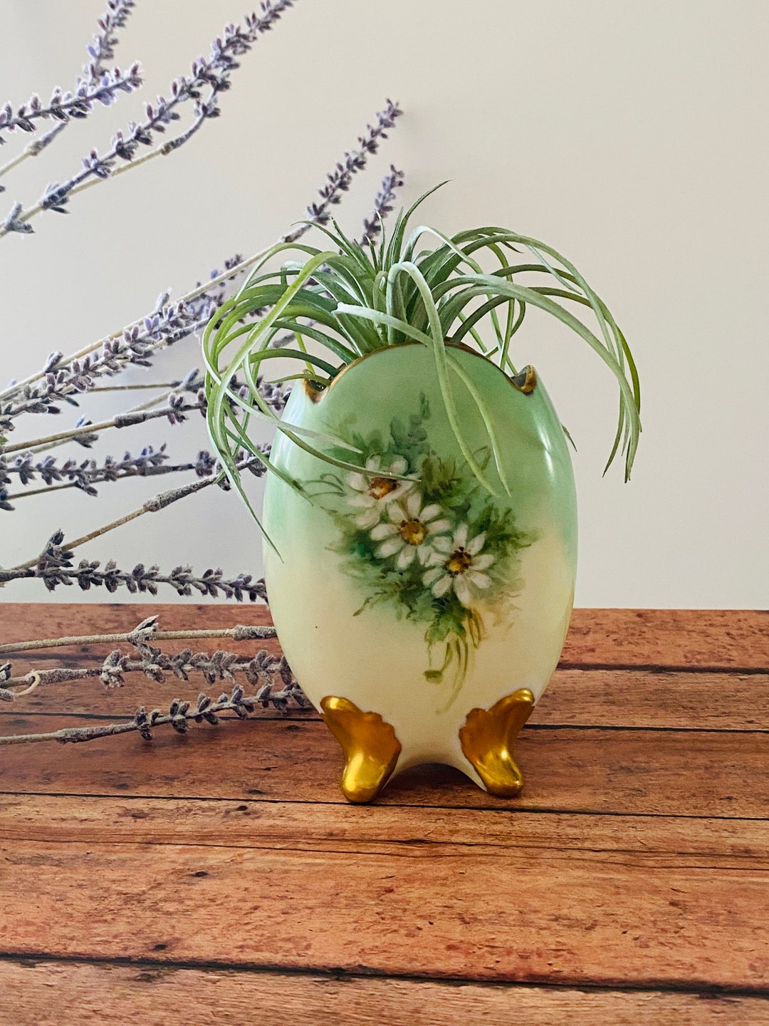 Porcelain Daisy Egg Mini Planter Hand Painted Footed 50's Vintage - Etsy