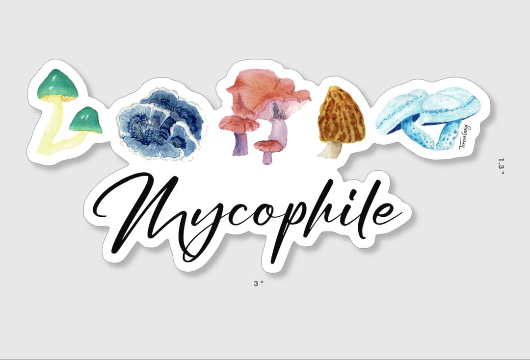 Mushroom Collection Sticker // Mycophile Sticker // Watercolor Art ...