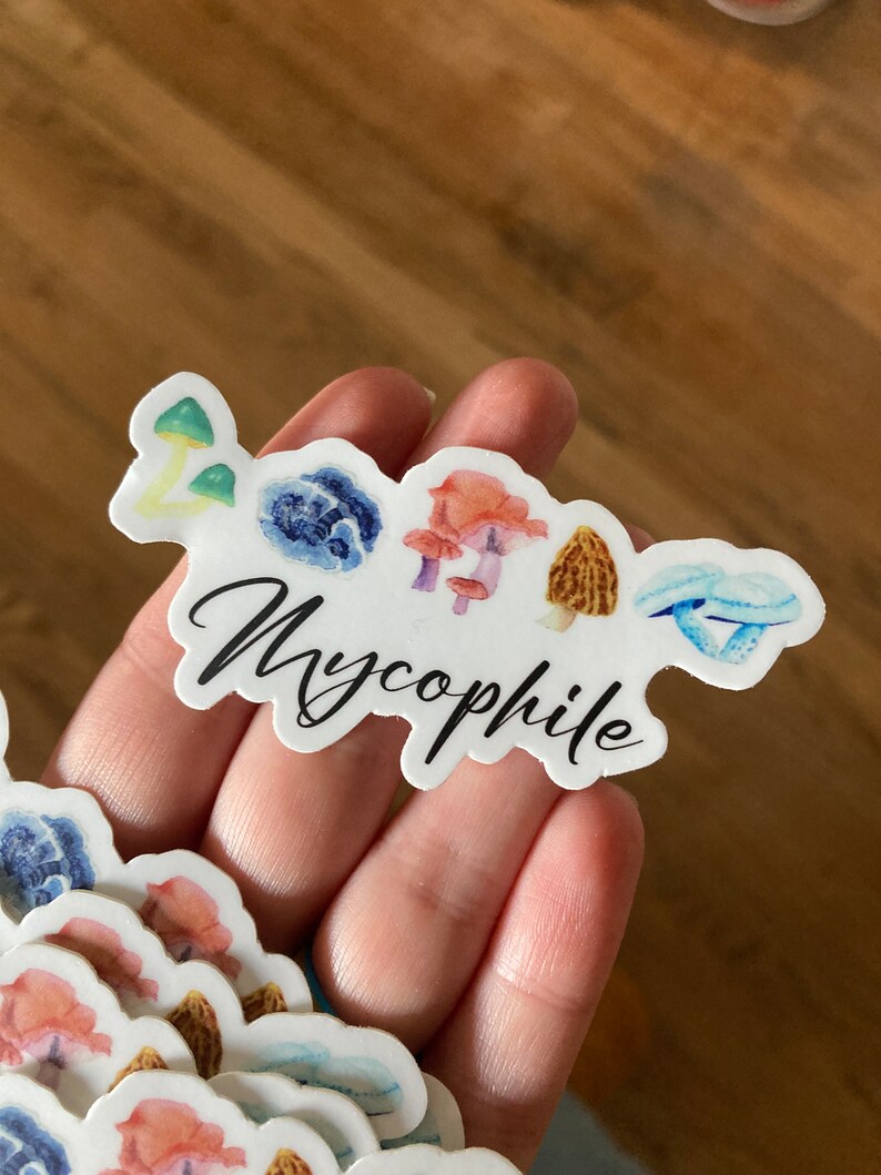Mushroom Collection Sticker // Mycophile Sticker // Watercolor - Etsy