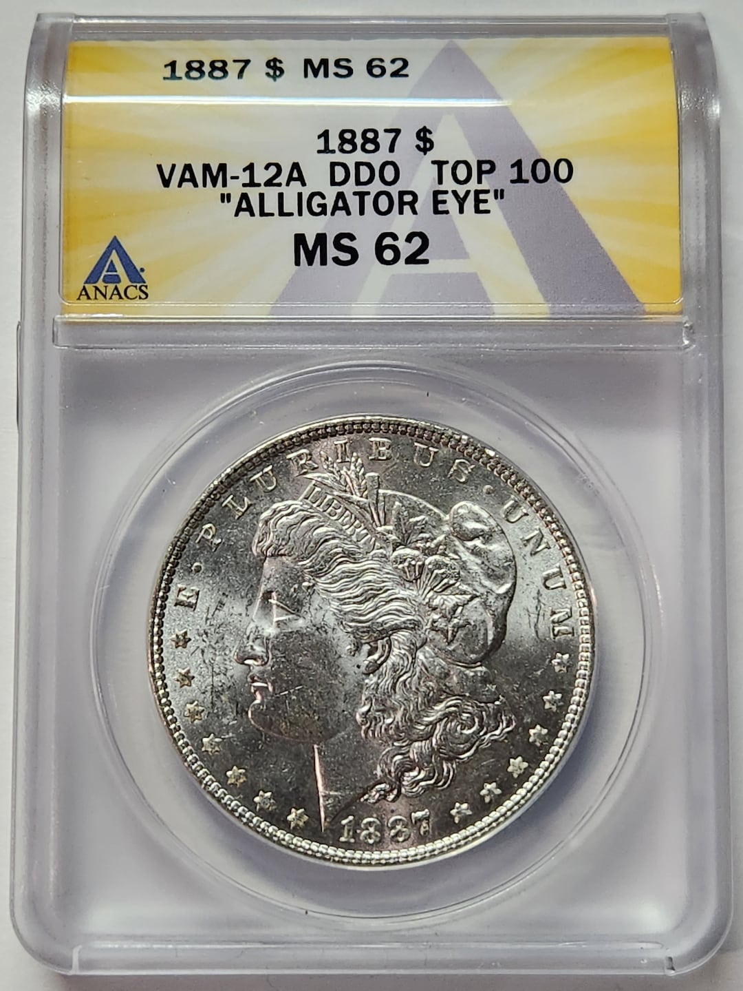 1887 P Morgan Silver Dollar MS62 Vam-12a DDO Alligator Eye Anacs - Etsy