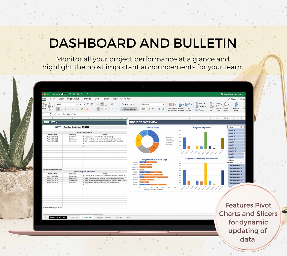 Gantt Chart Template, Project Timeline, Excel Dashboard, Project ...