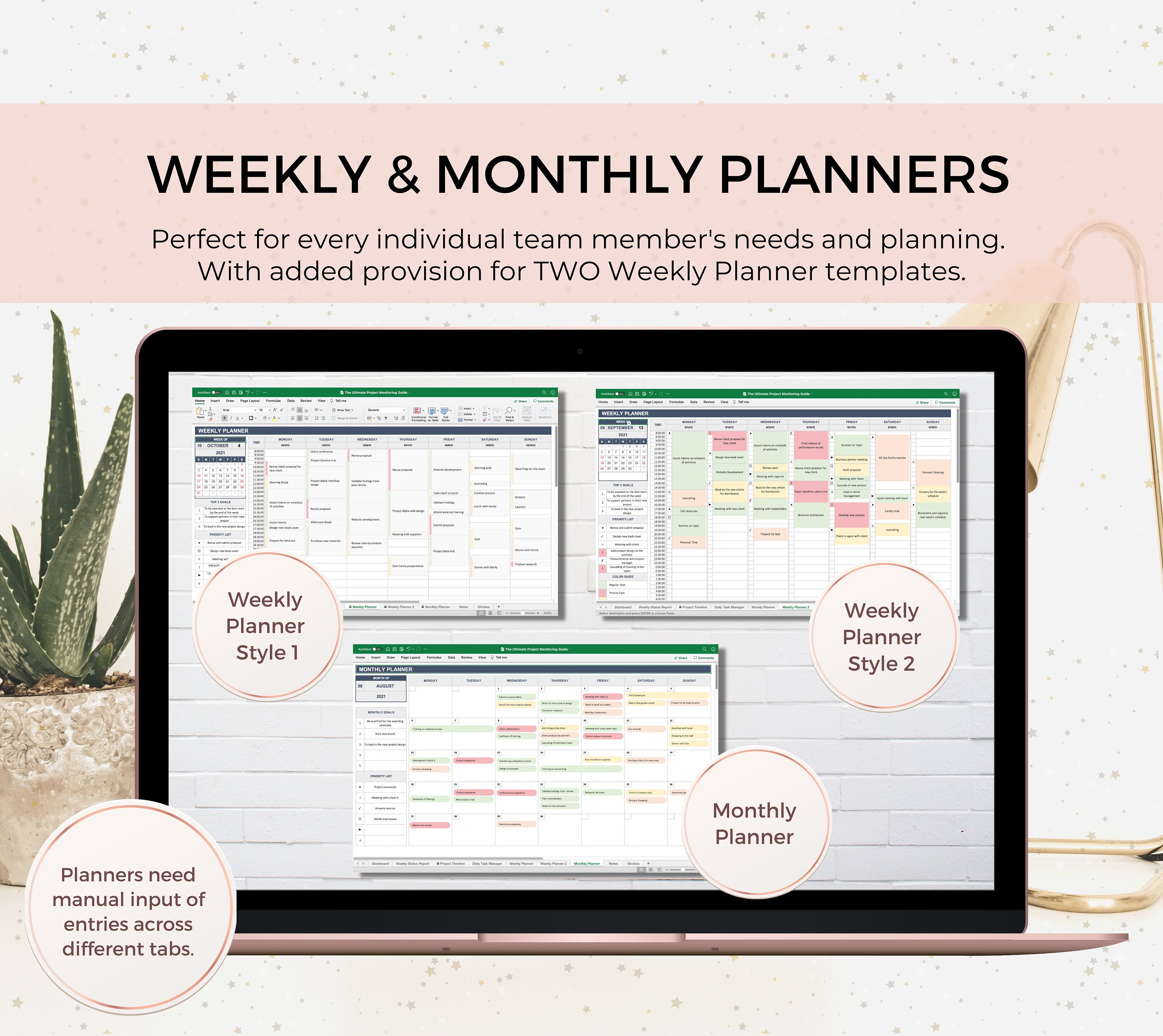 Project Management Template, Excel Dashboard, Project Tracker, Project ...