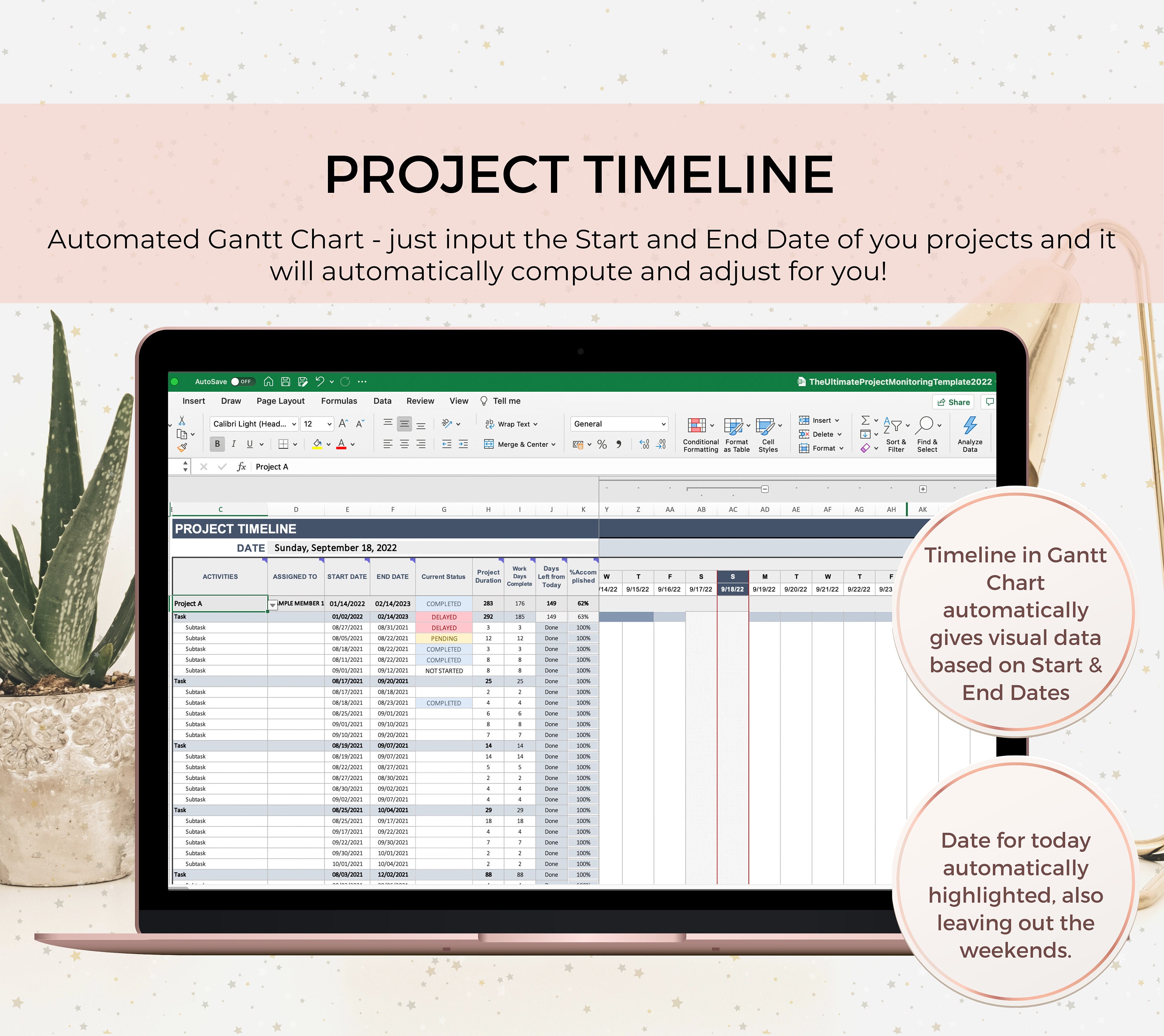 Project Management Template, Excel Dashboard, Project Tracker, Project ...