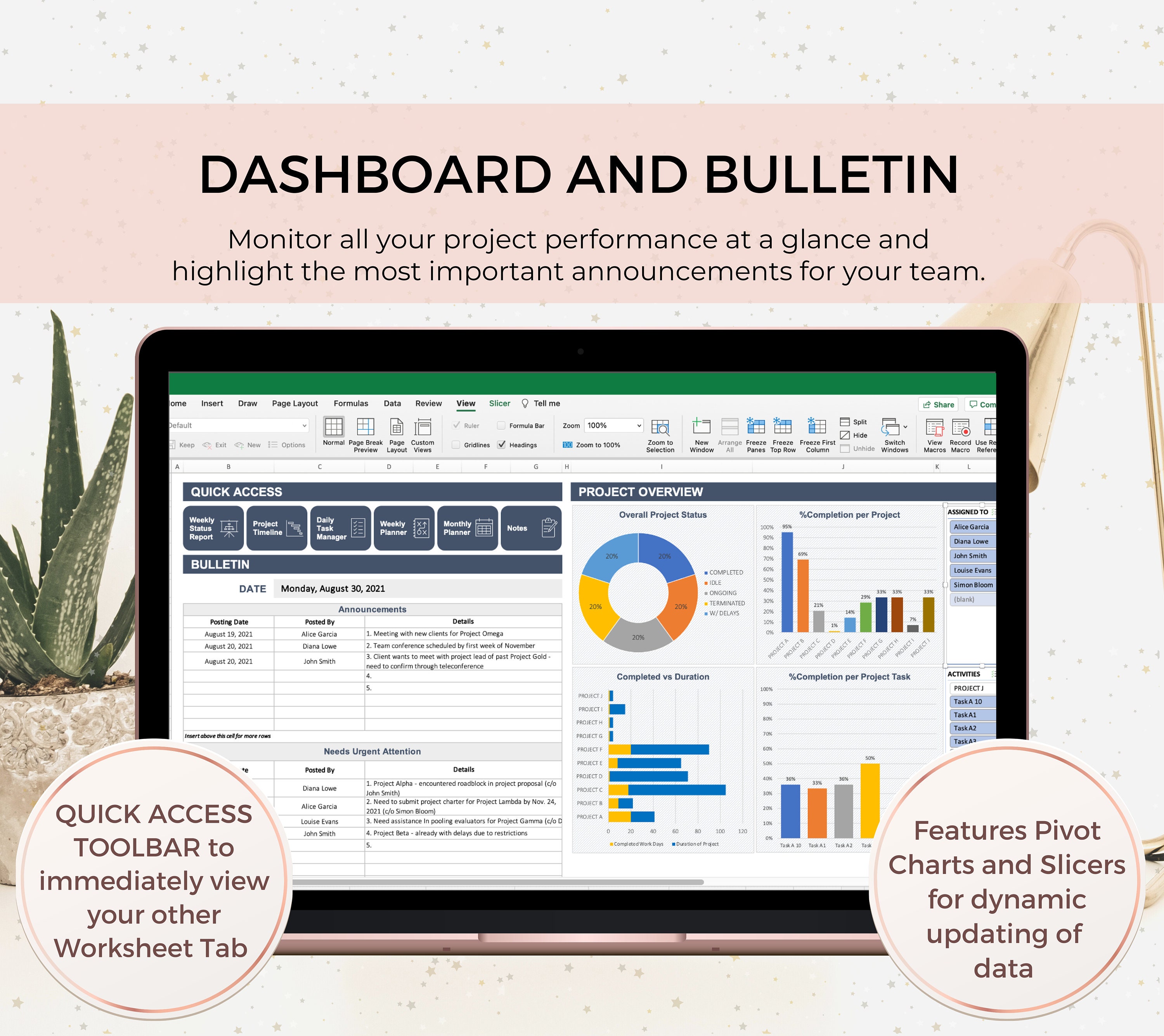 Project Management Template, Excel Dashboard, Project Tracker, Project ...