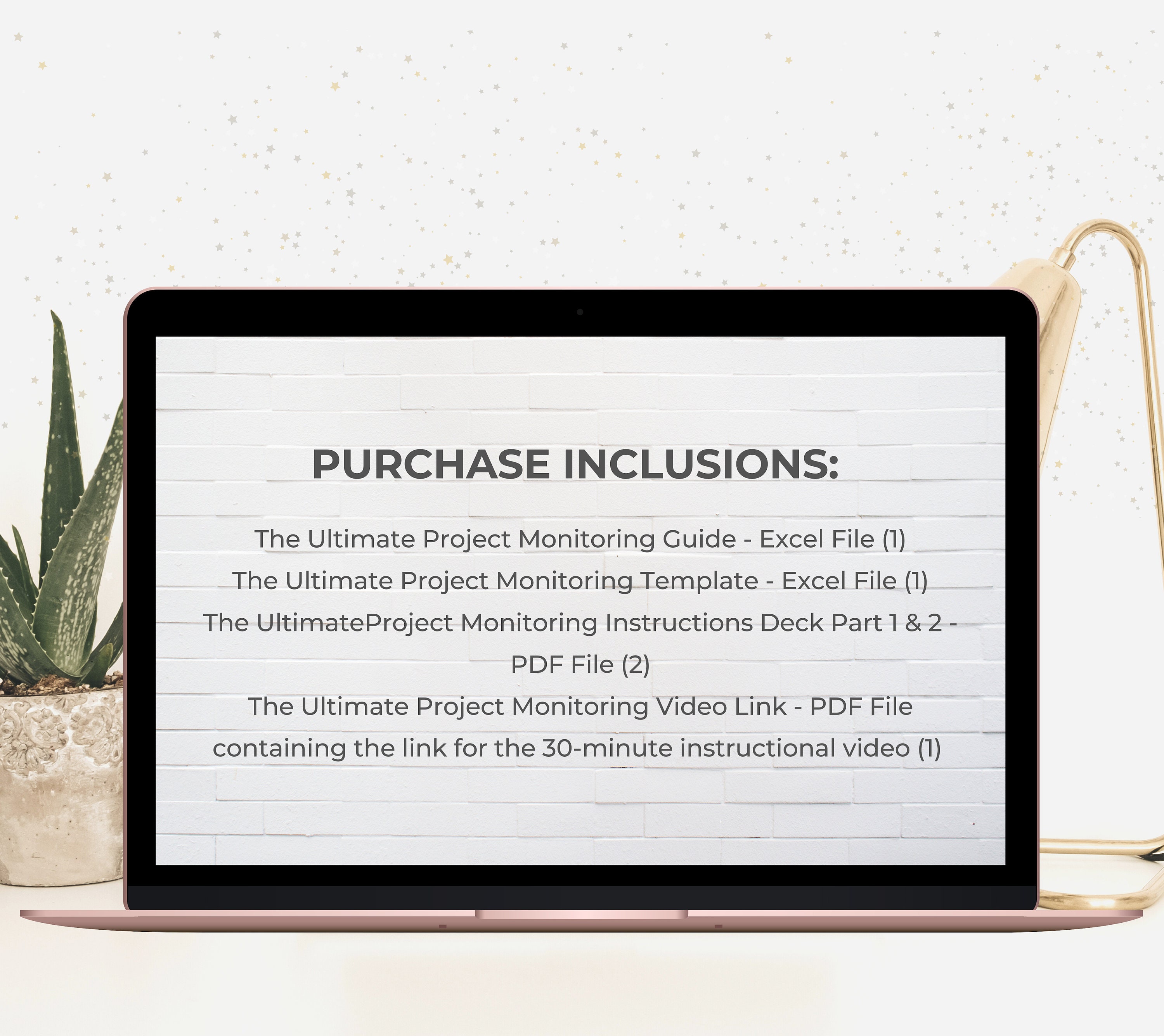 Project Management Template Excel Dashboard Project Tracker | Etsy