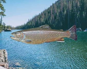 Metal Trout Sign - Etsy