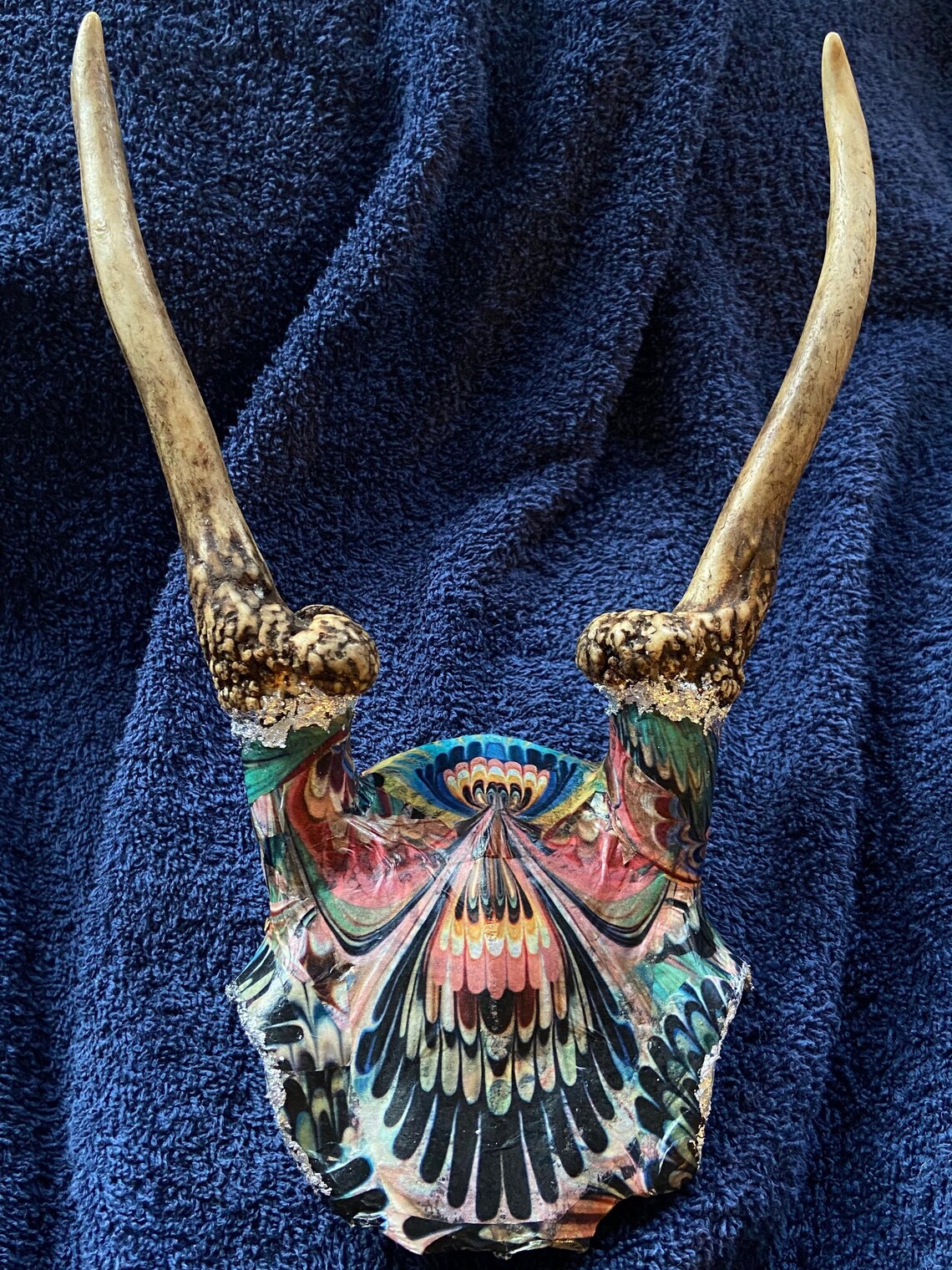 Boho Decor Fantastic Muntjac Half Skull With Horns Decoupage Coloured ...