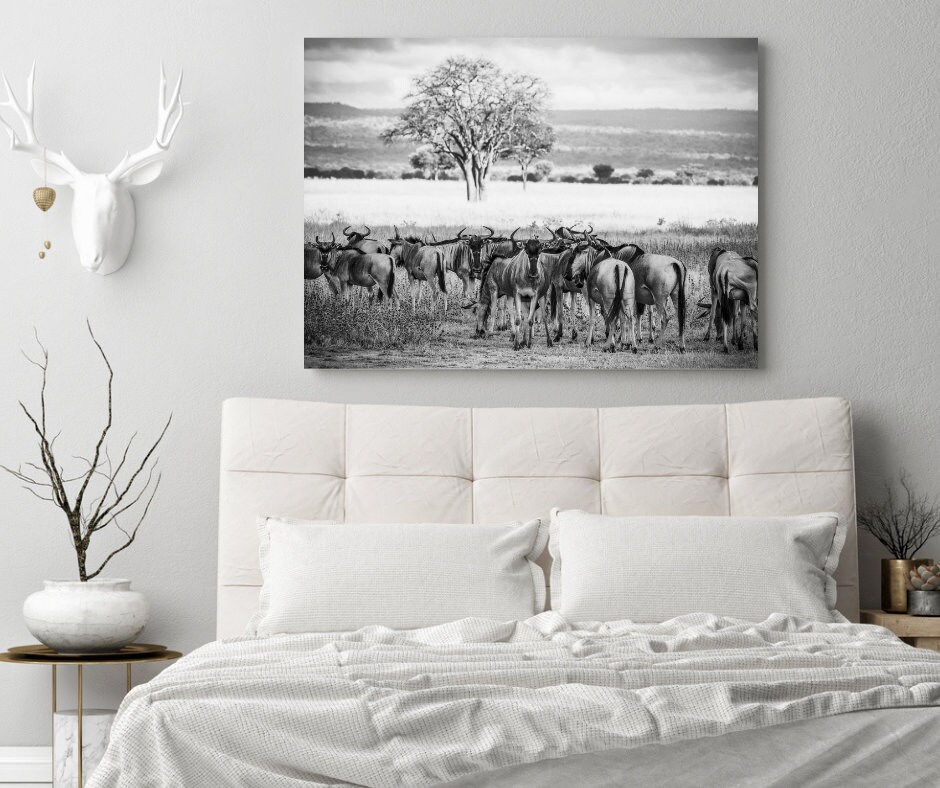 The Great Wildebeest Migration Poster Print, Black and White Animal ...