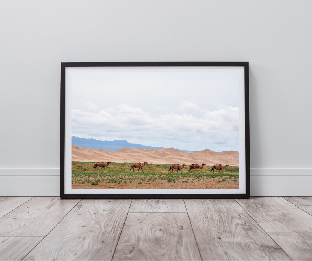 Camels in the Gobi Desert Poster, Desert Print, Travel Photography ...