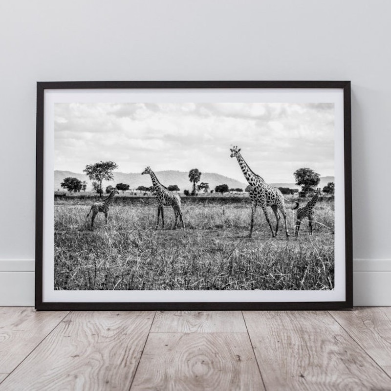 Giraffe Poster - Etsy