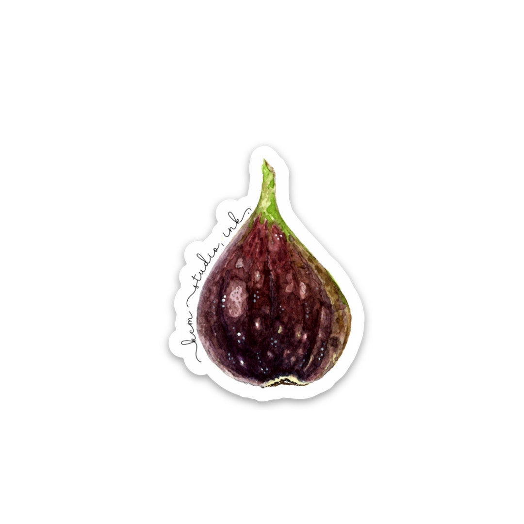 Fig Sticker - Etsy