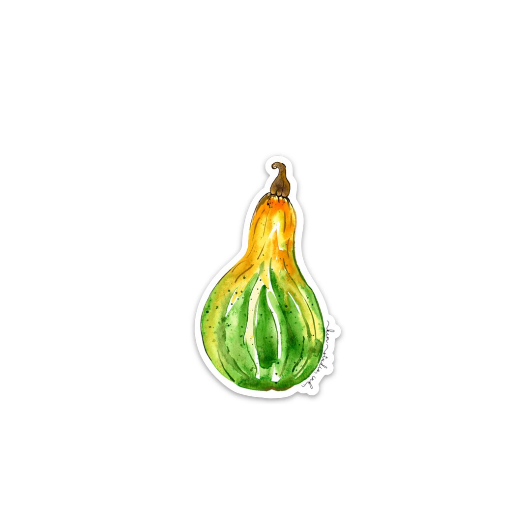 Squash Sticker - Etsy