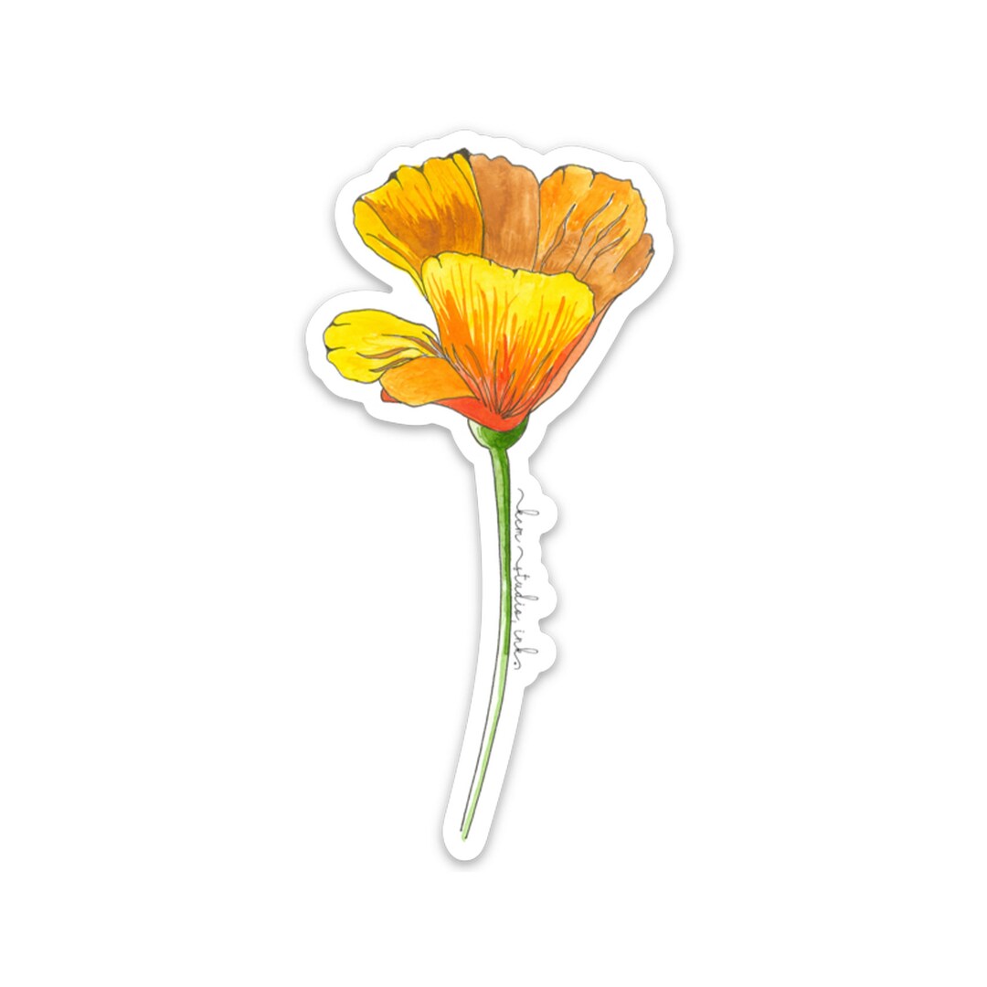California Poppy Sticker - Etsy