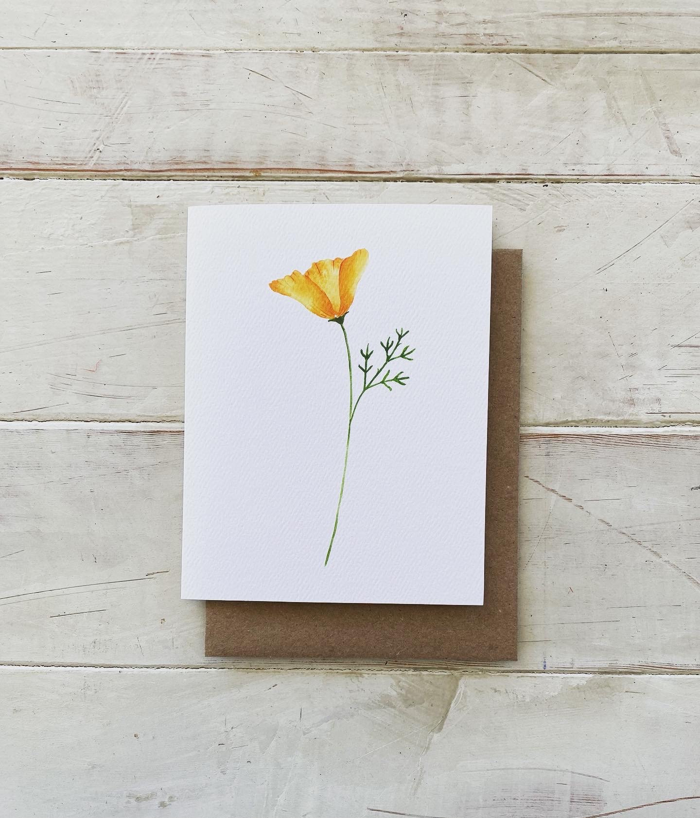California Poppies Greeting Card Bundle & Sticker - Etsy