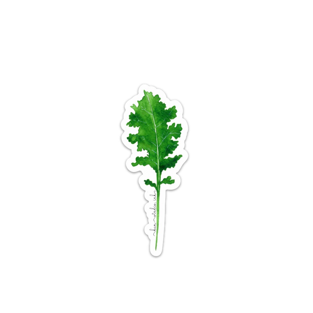 Baby Kale Sticker - Etsy