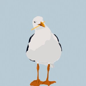 Seagull Print Set of 3, Printable Wall Art, Art Prints, Digital ...