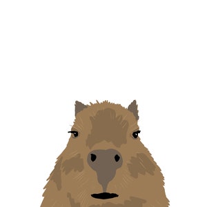 Capybara Print Set of 3, Printable Wall Art, Art Prints, Digital ...