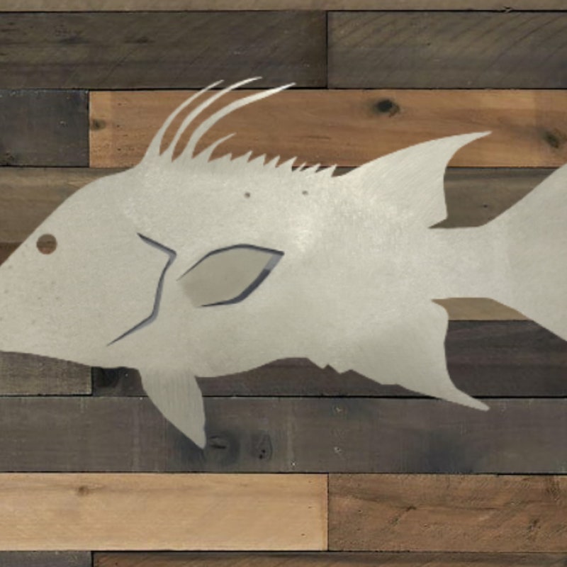 Hogfish - Etsy