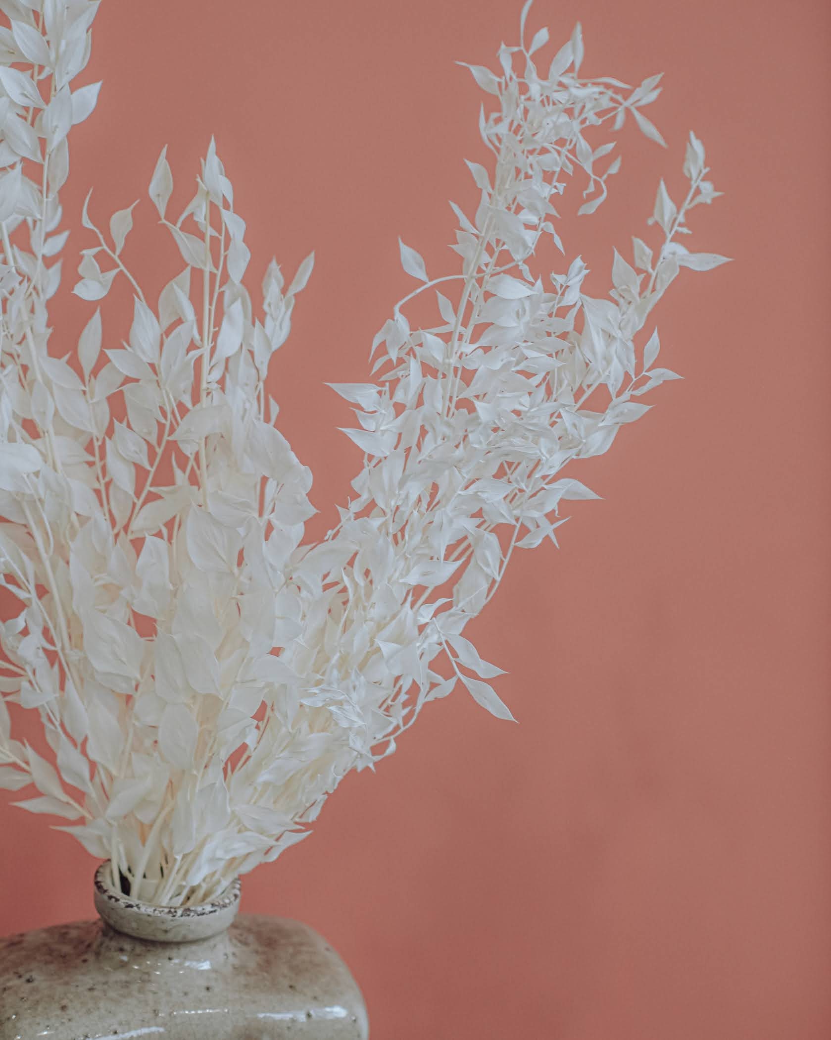 Dried Flowers White Ruscus Bouquet - Etsy UK