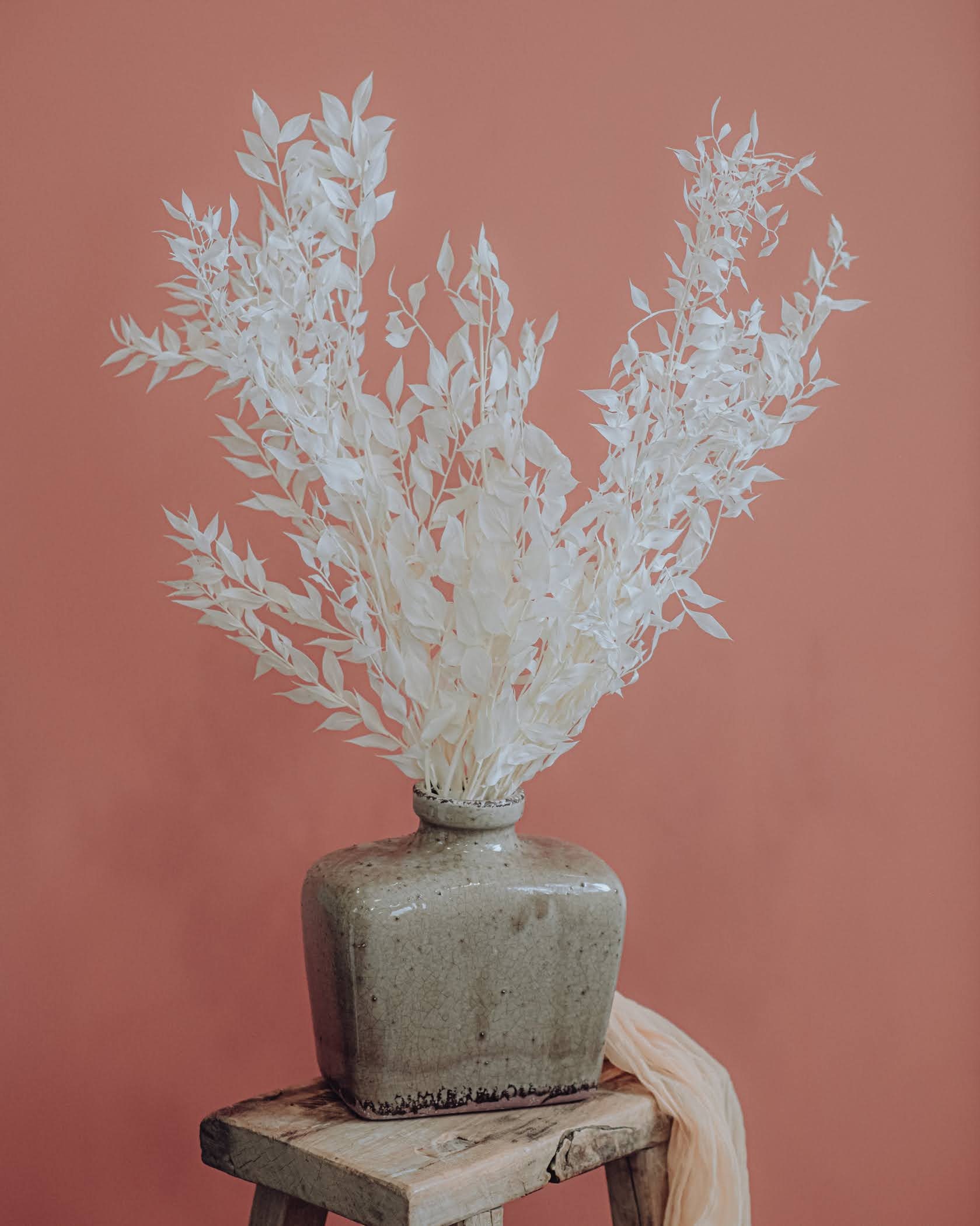 Dried Flowers White Ruscus Bouquet - Etsy UK