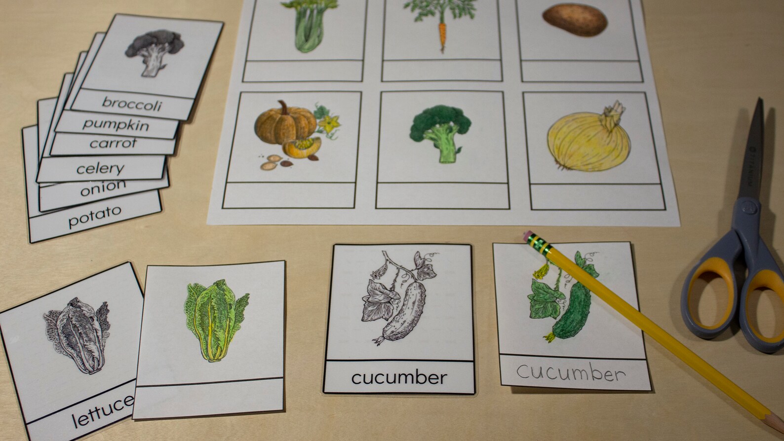 Three Part Cards, Vegetables, Montessori Early Reading - Etsy