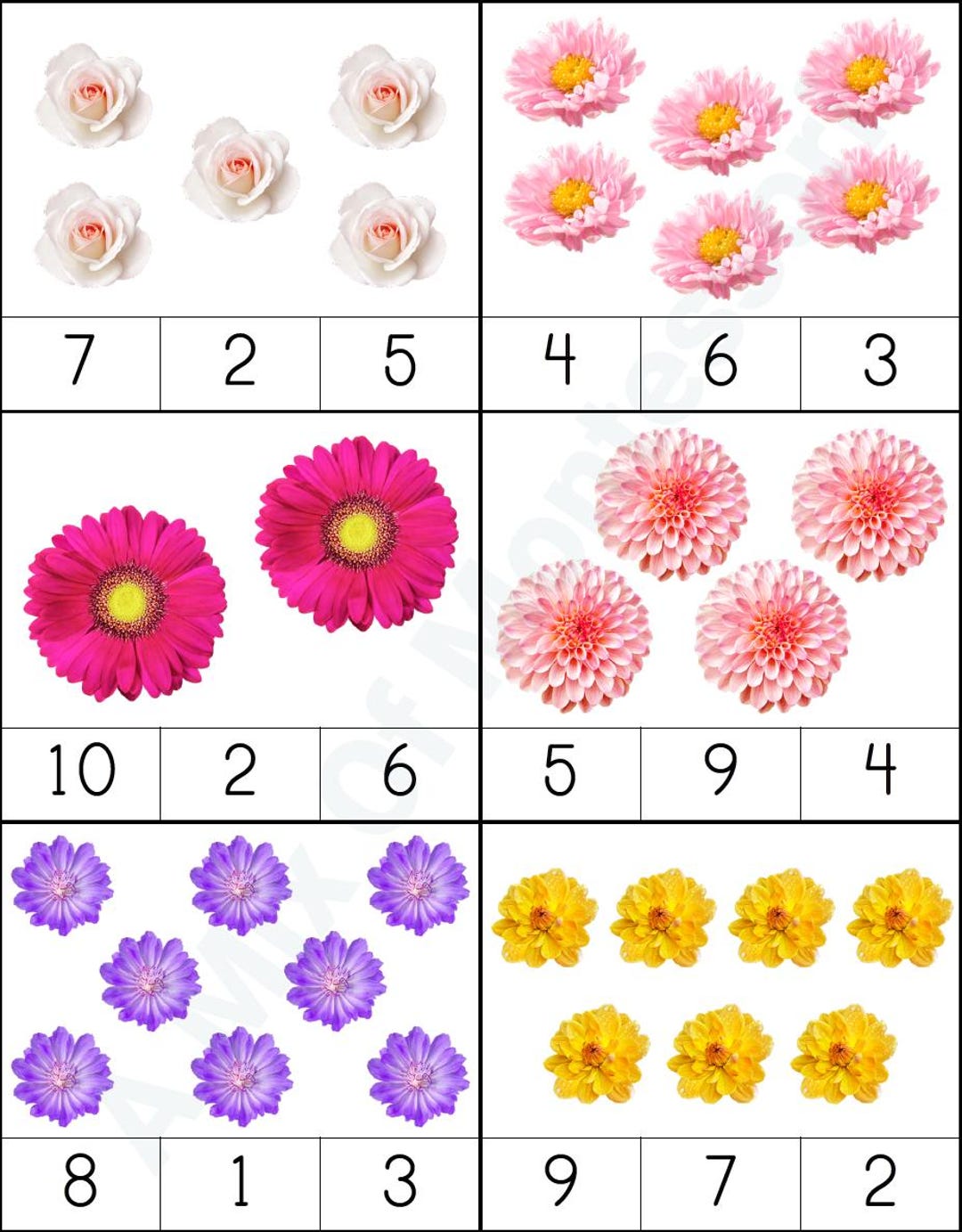 Counting Clip Cards - Flowers - Etsy