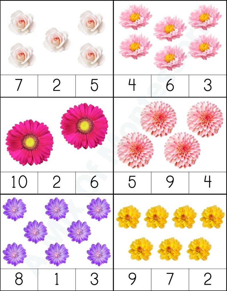 Counting Clip Cards - Flowers - Etsy