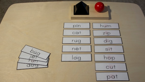 Noun and Verb Sorting Beginning Grammar CVC Reading | Etsy