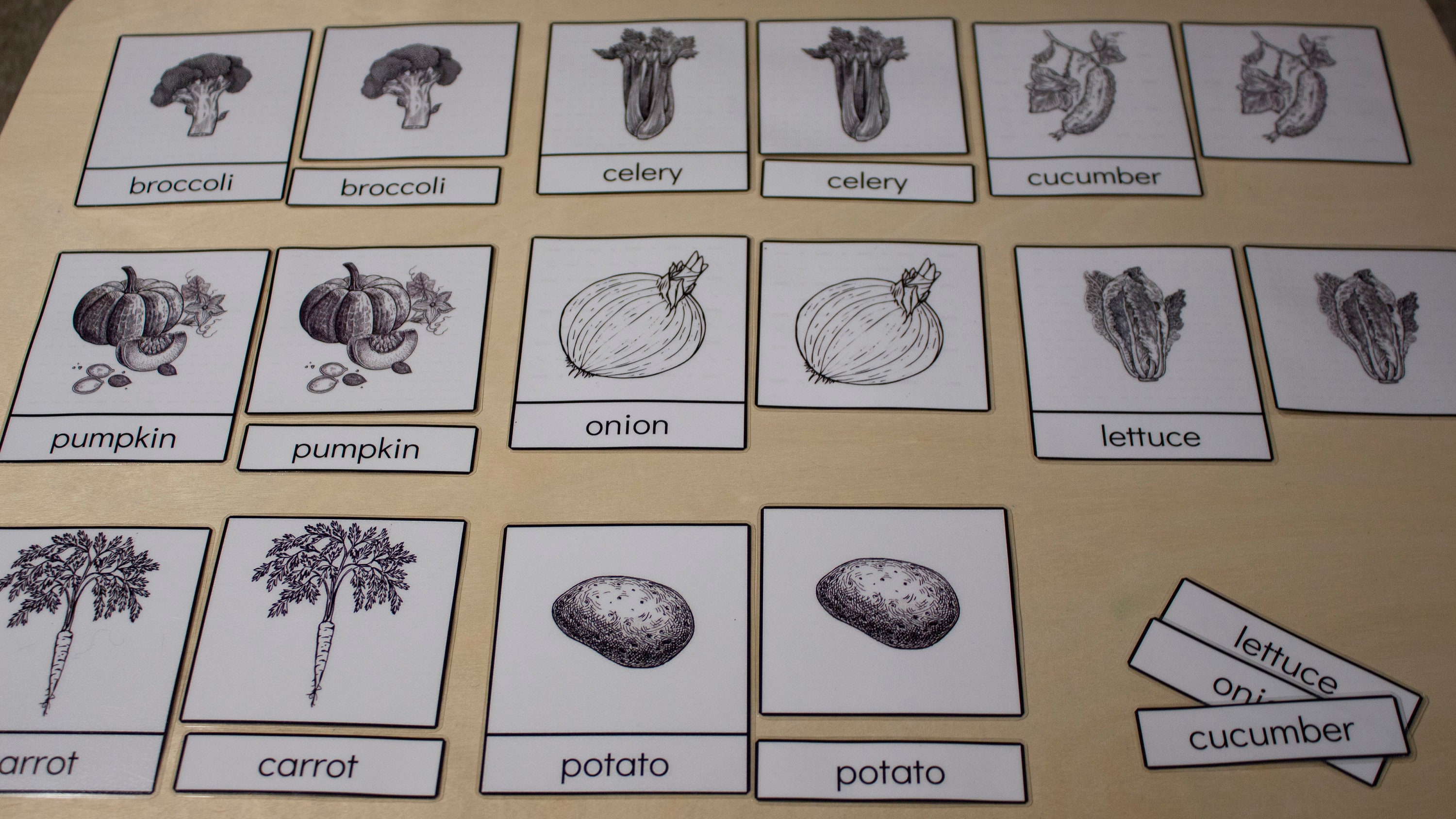 Three Part Cards, Vegetables, Montessori Early Reading - Etsy