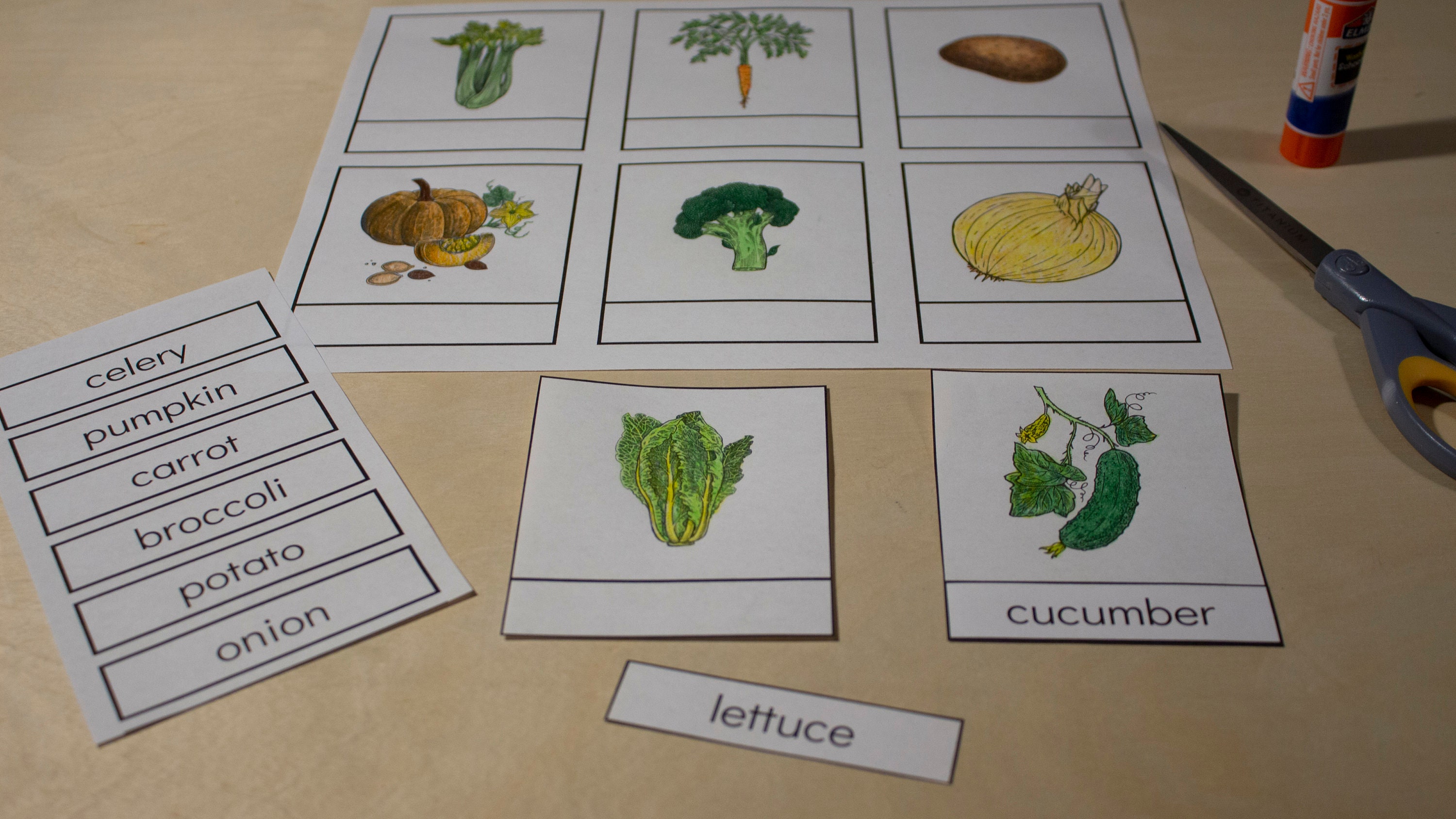 Three Part Cards, Vegetables, Montessori Early Reading - Etsy