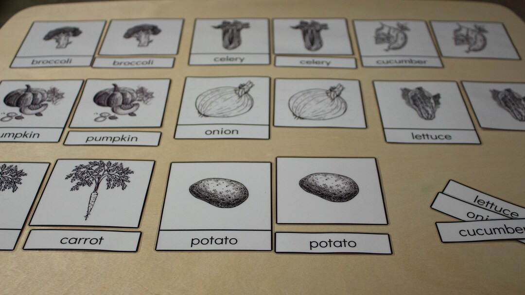 Three Part Cards, Vegetables, Montessori Early Reading - Etsy