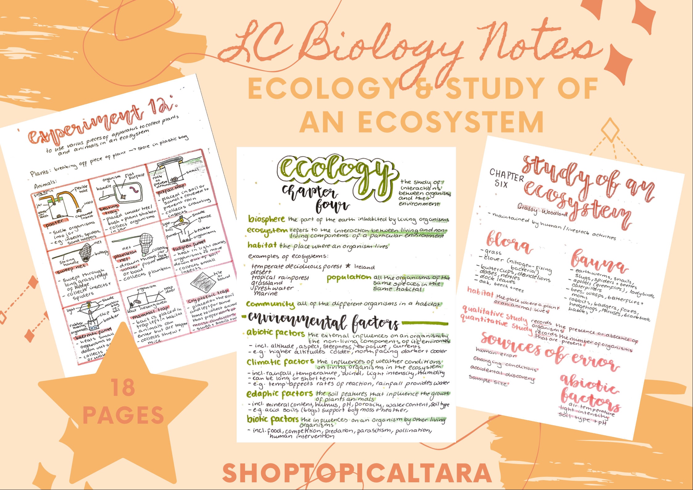 Leaving Cert Biology Notes: Ecology & Study of an Ecosystem - Etsy