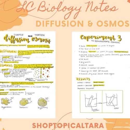 Skeleton & Muscles Notes Leaving Cert Biology - Etsy
