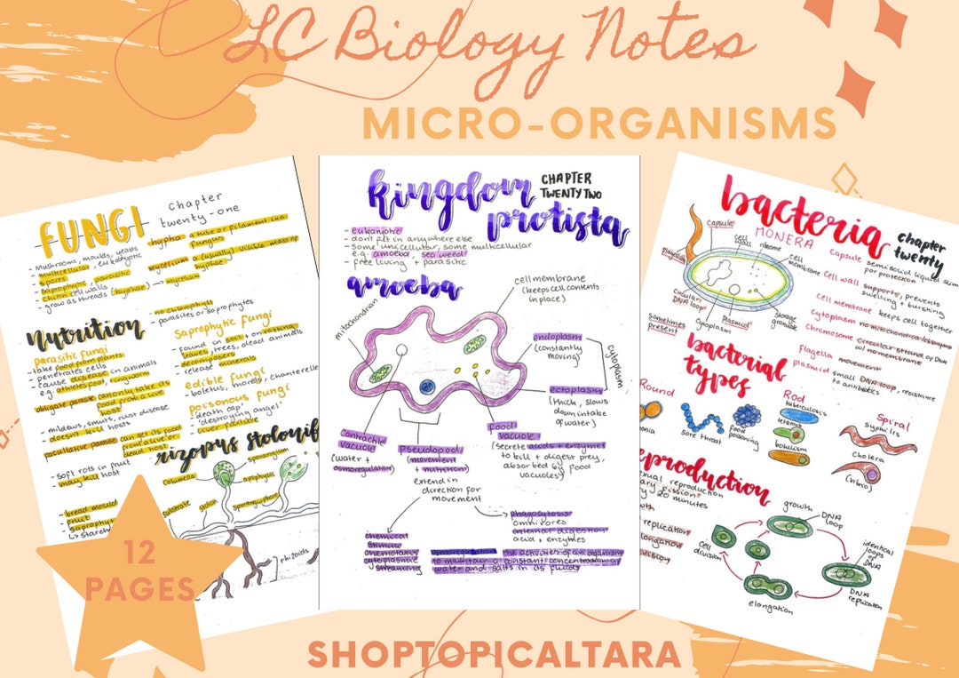 Leaving Cert Biology Notes: the Microorganisms Bundle - Etsy
