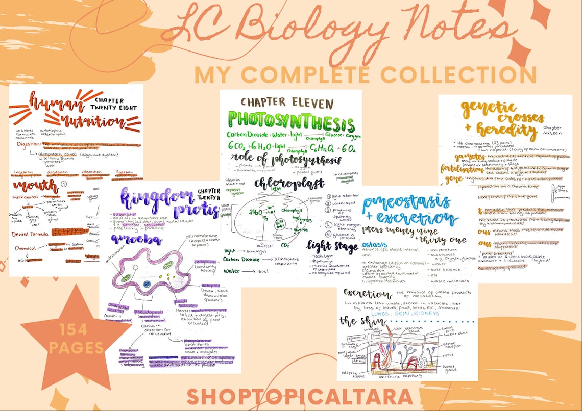 Leaving Cert Biology Notes: My Complete Collection 154 Pages - Etsy