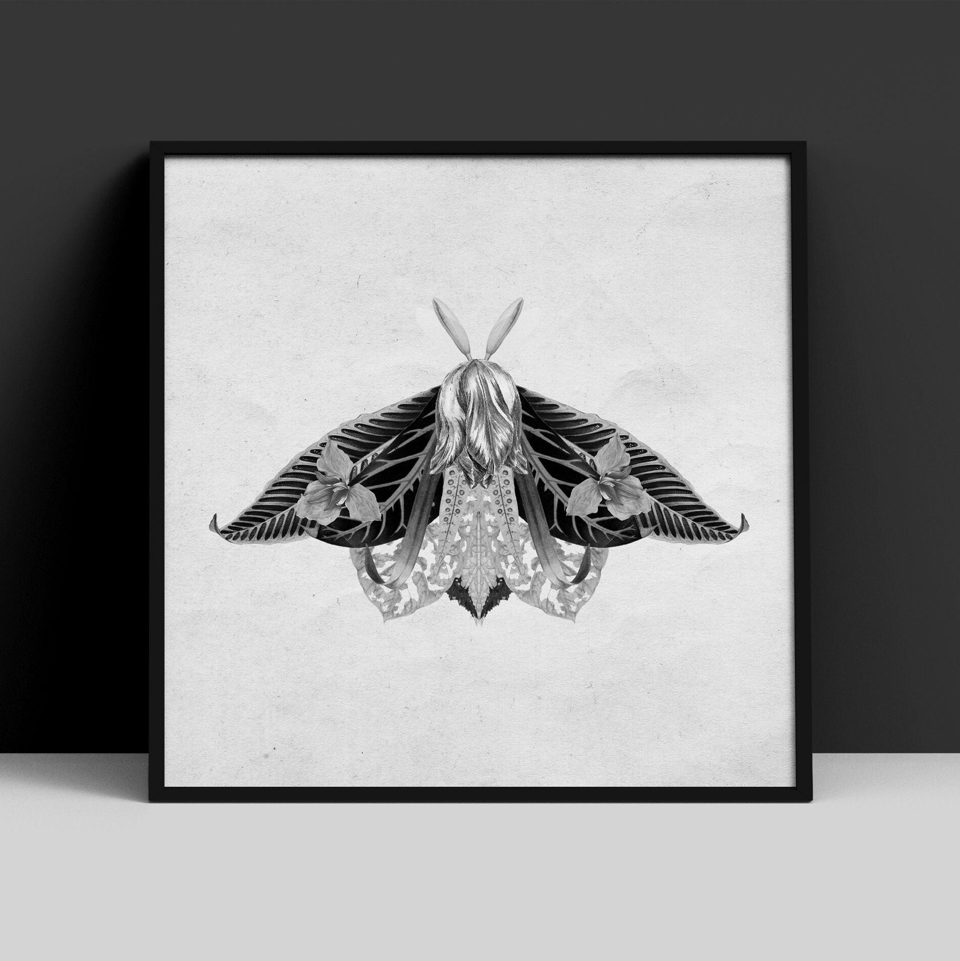 Digital Prints Moth Wall Chart Unique Design Night Butterfly Artwork ...
