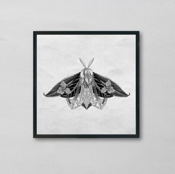 Digital Prints Moth Wall Chart Unique Design Night Butterfly Artwork ...