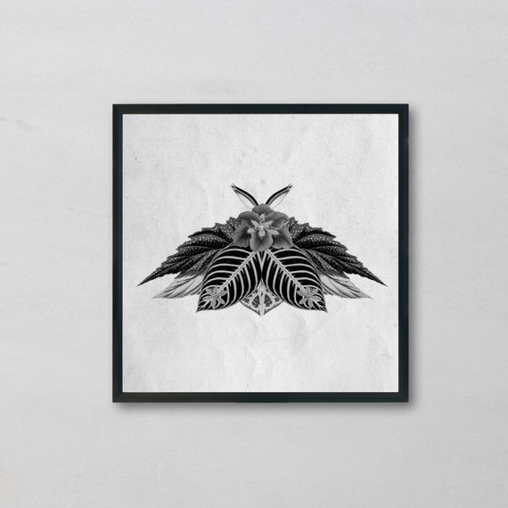 Digital Prints Moth Wall Chart Unique Design Night Butterfly Artwork ...