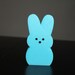 Set of Colorful Peeps - Etsy