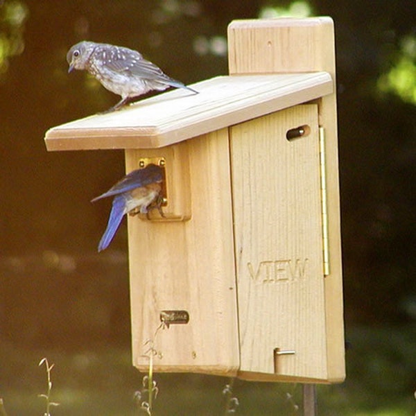 Bluebird House - Etsy