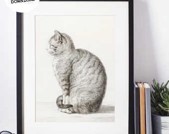 Cat Sitting Poster - Etsy
