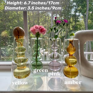 Glass Bubble Vase | Double Walled Glass | Hydroponic Vase | Avocado ...