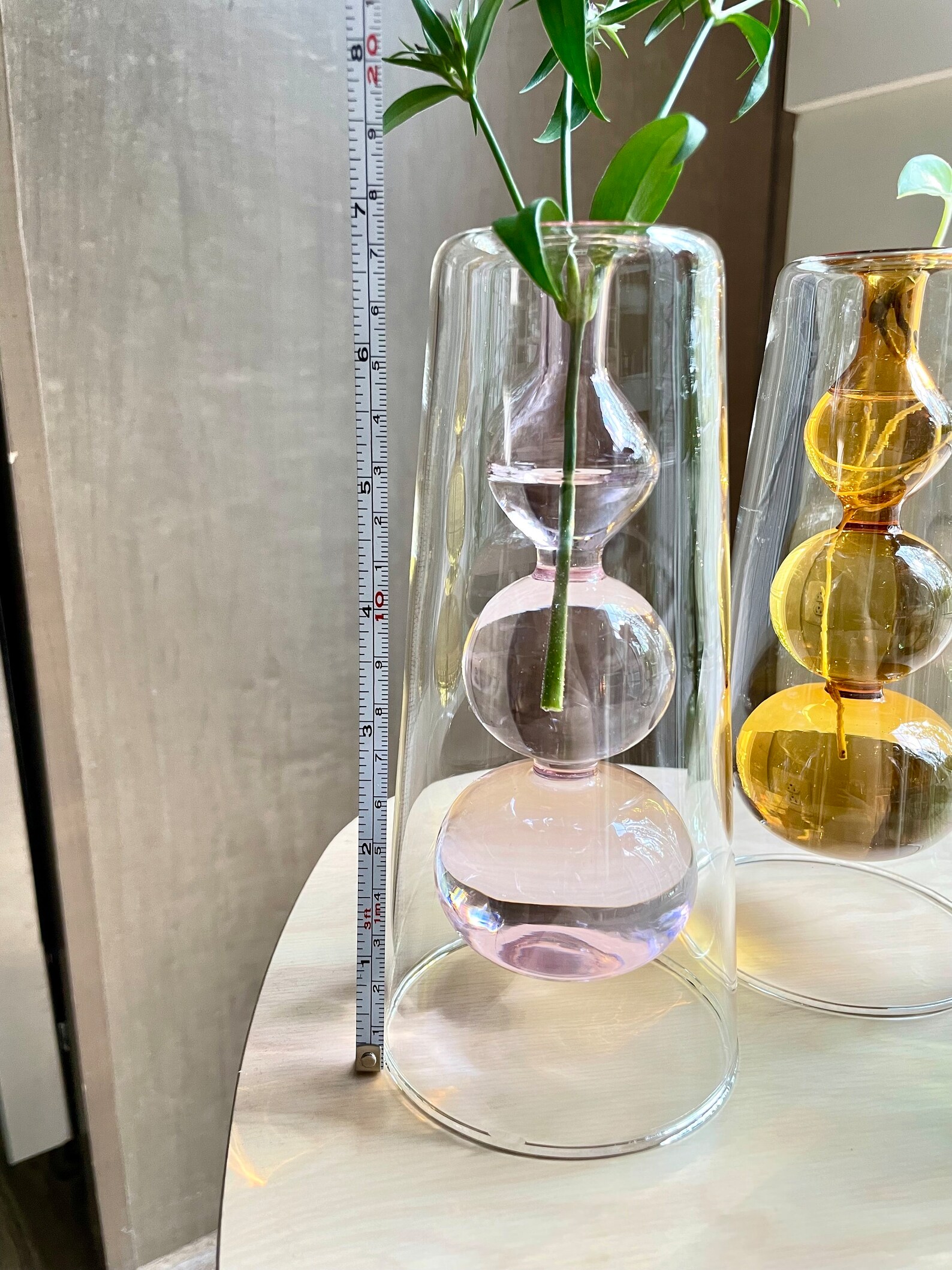 Glass Bubble Vase | Double Walled Glass | Hydroponic Vase | Avocado ...