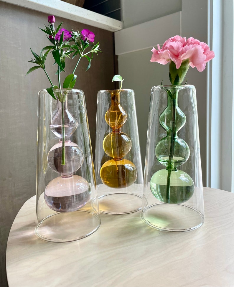 Glass Bubble Vase | Double Walled Glass | Hydroponic Vase | Avocado ...