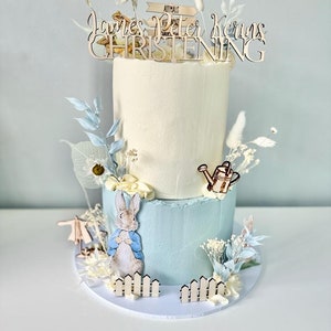 Peter Rabbit Cake Set Wooden Peter Rabbit Cake Topper Flopsy Bunny Cake ...