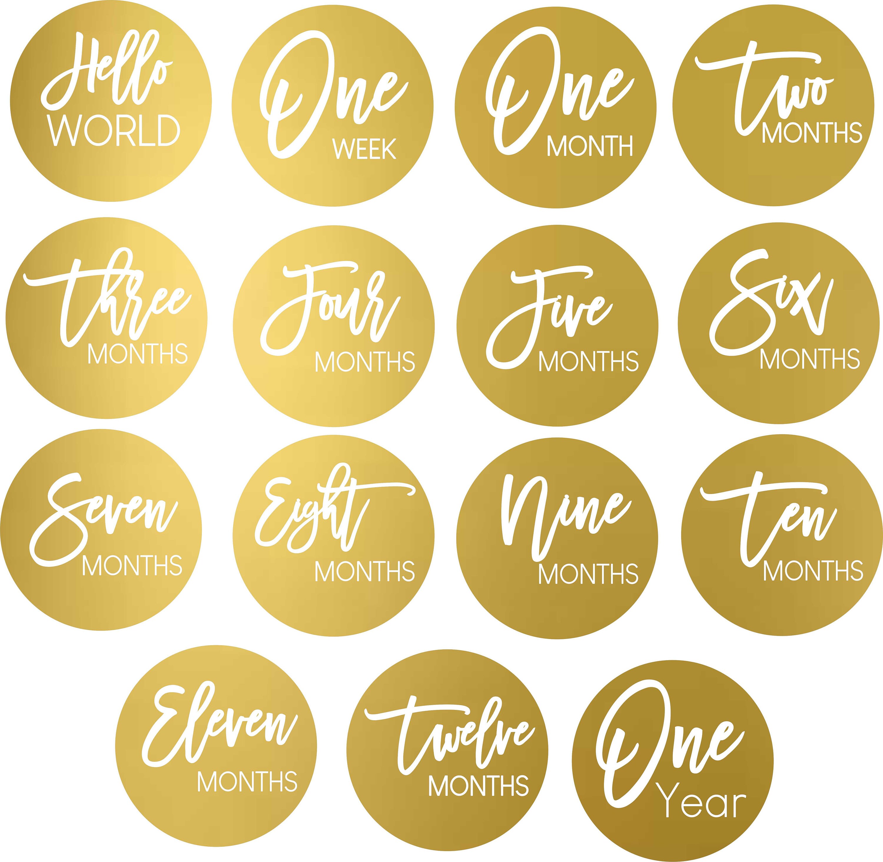 Baby Milestone Rounds SVG Baby Monthly Milestone Rounds SVG - Etsy