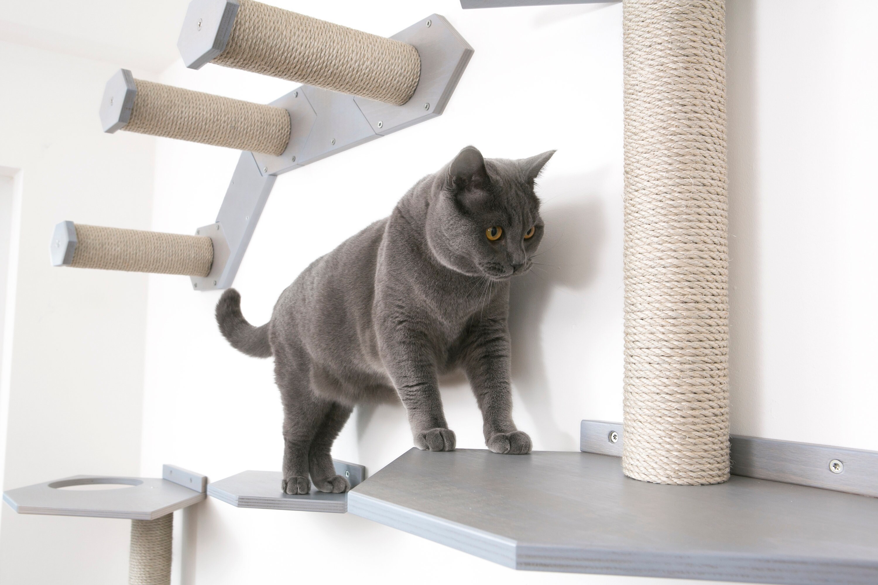 NALA: Wall Double-decker Cat Platform Reclining Plates for - Etsy UK